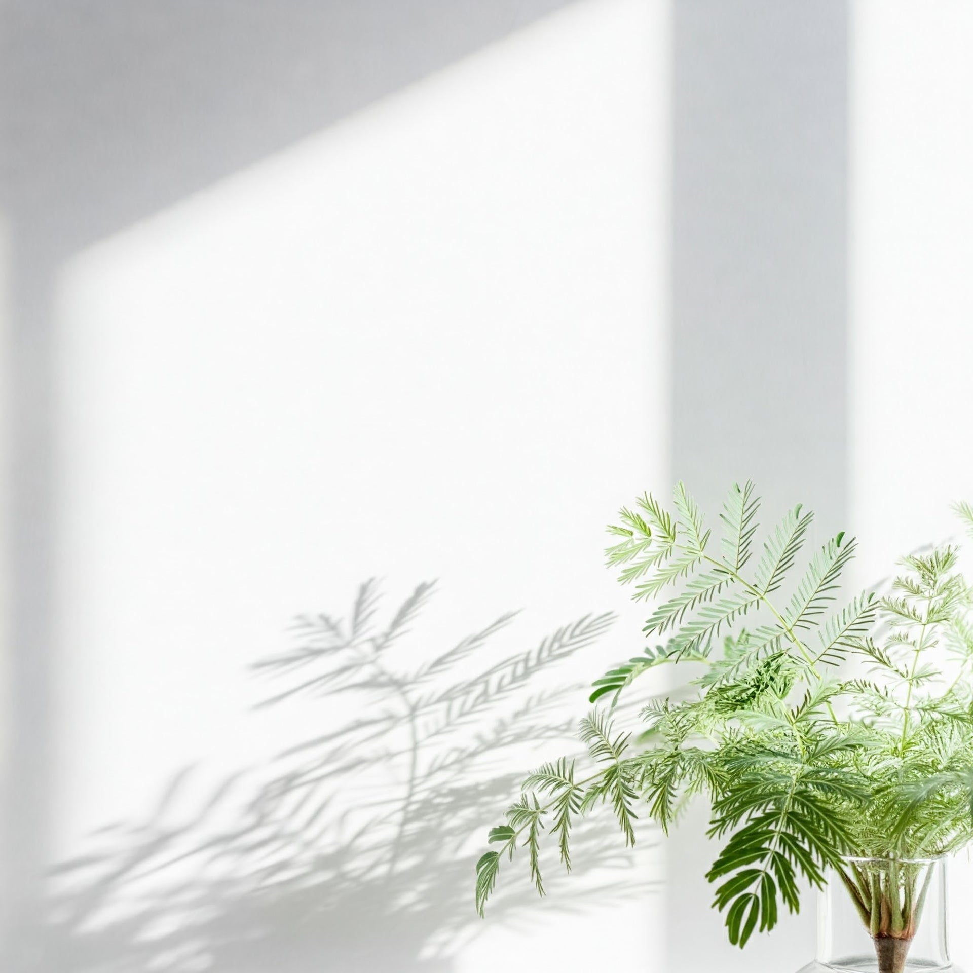 The Plant Stylist